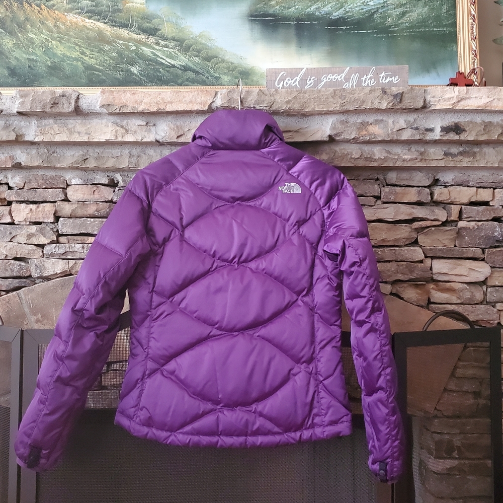 Euc/Vintage The North Face 550 Down Puffer Jacket - Gem